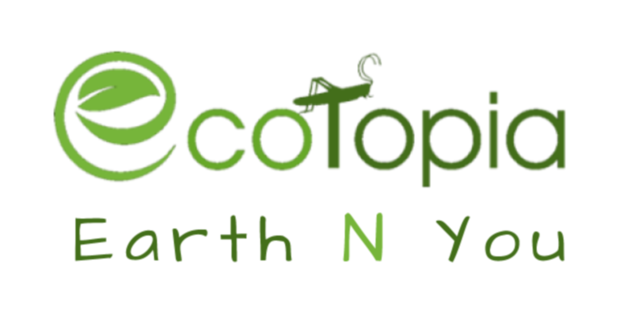 Ecotopia | Earth N You